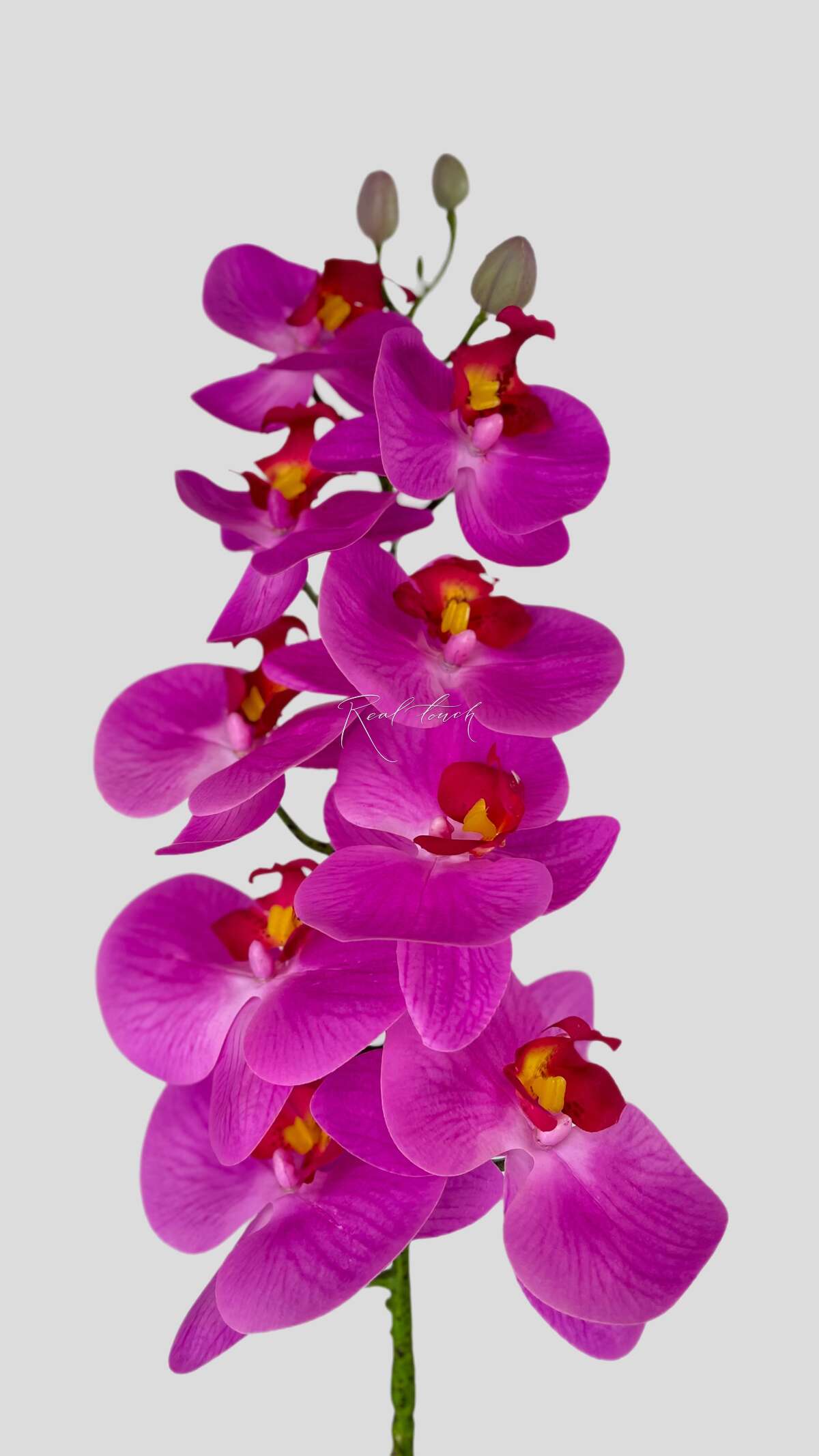 Real Touch Phalaenopsis Orchid (9 blooms) - fuchsia
